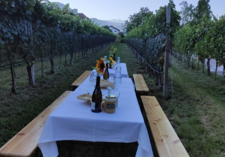 Genussverkostung im Weinberg Alto Adige Wine Road / Overview of all Events